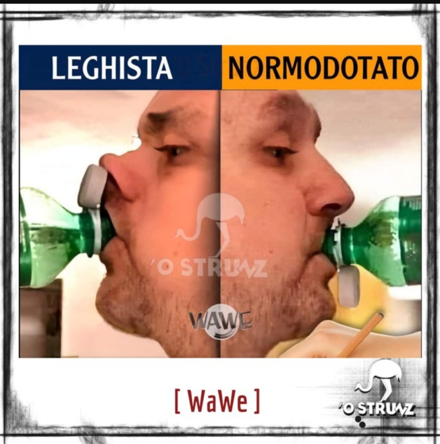 Tutti i meme sulla Lega - Facciabuco.com