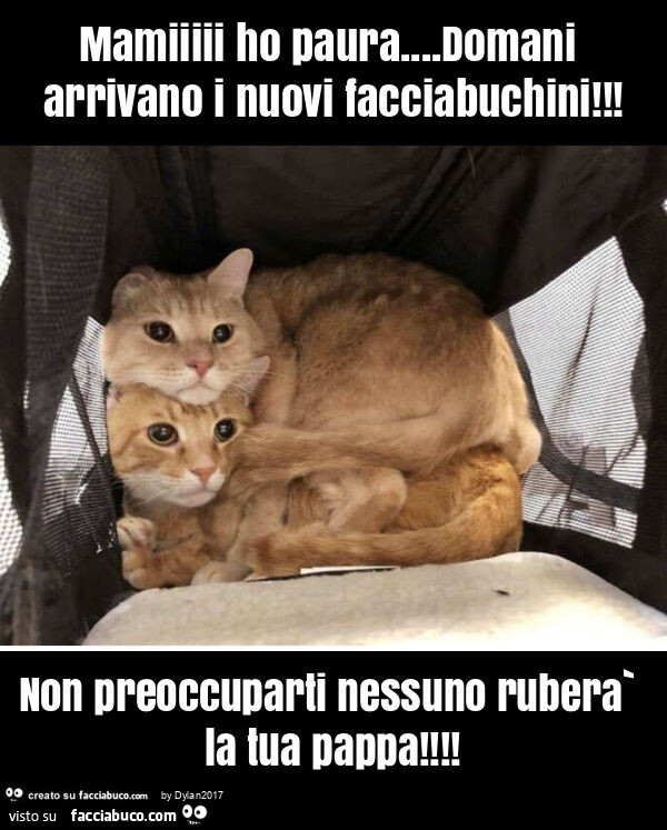 Tutti i meme sulla Paura - Facciabuco.com