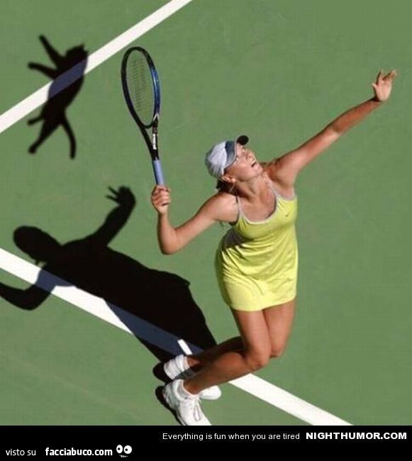 Vaccate - Facciabuco.com