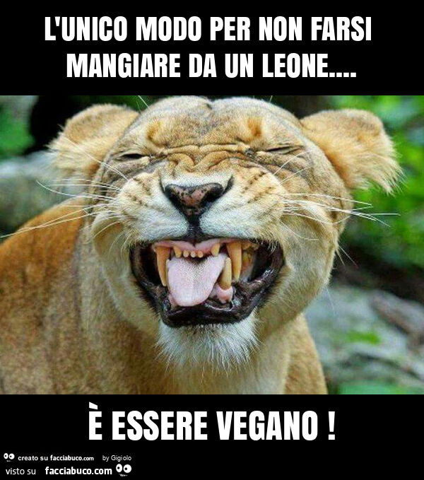 L'unico modo per non farsi mangiare da un leone… è essere vegano ... L'unico modo per non farsi mangiare da un leone… è essere vegano ...