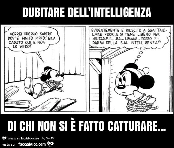 Tutti i meme su Topolino - Facciabuco.com
