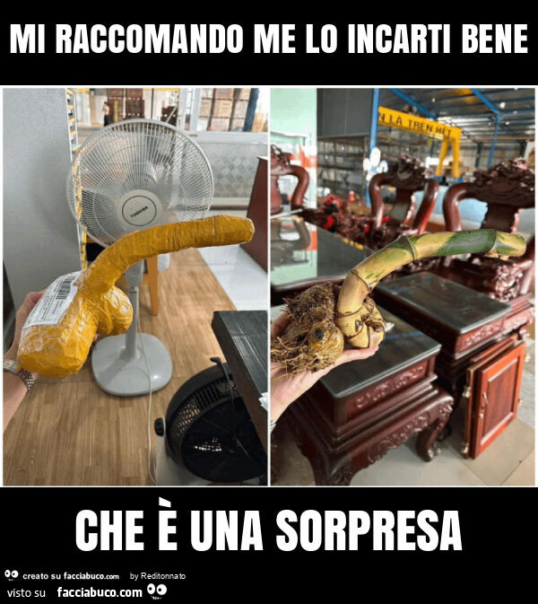 Mi raccomando me lo incarti bene che è una sorpresa - Facciabuco.com