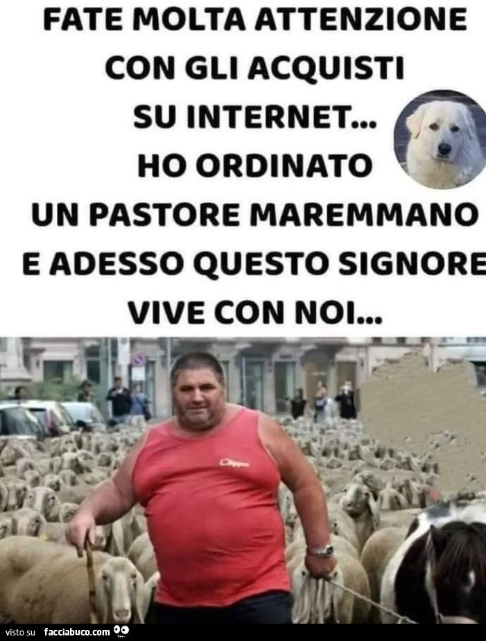 Vaccate - Facciabuco.com