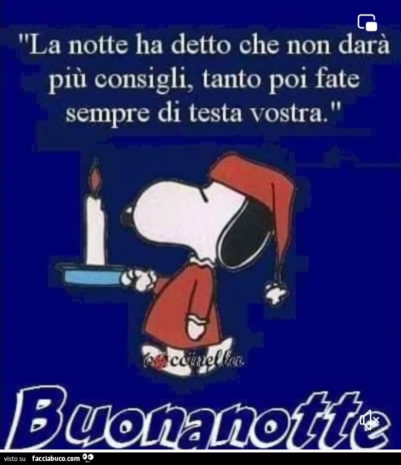 Tutti i meme su Snoopy - Facciabuco.com