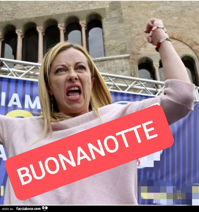 Tutti i meme sui Meloni - Facciabuco.com