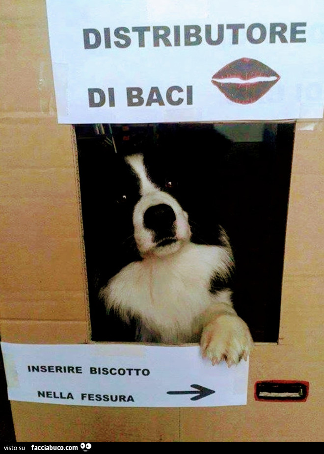 Tutti i meme sui Baci - Facciabuco.com