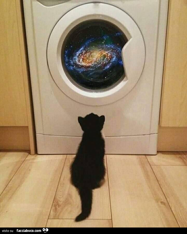 Vaccate - Facciabuco.com