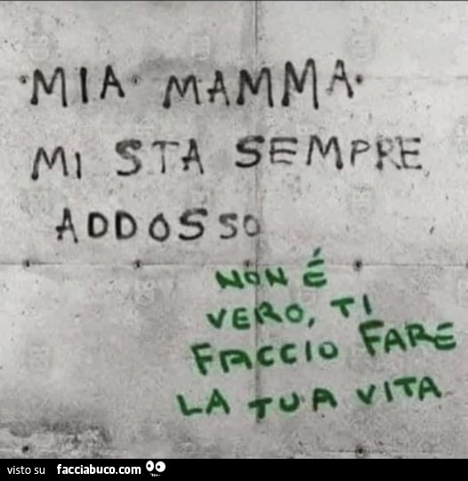 Tutti i meme sulla Mamma - Facciabuco.com